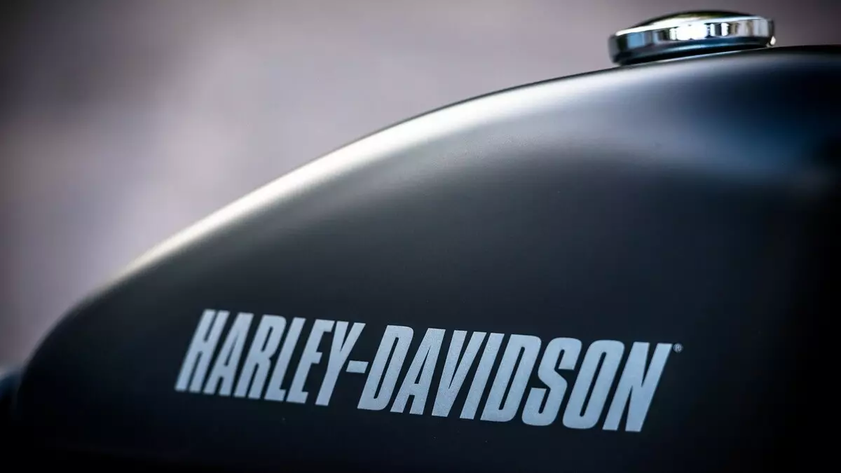 Phem: Ntsuas Tsav Harley-Davidson Railingter 20868_3