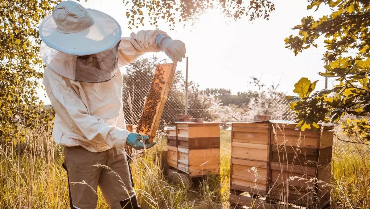 Luhur_Beekeeper_leipzig_2017_porche_ag.