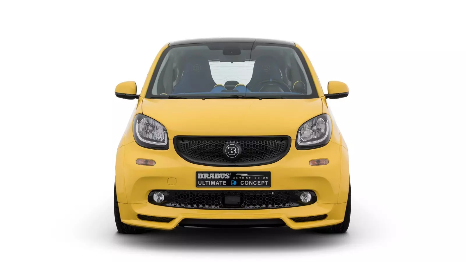 Brus_smart_fortWo_65