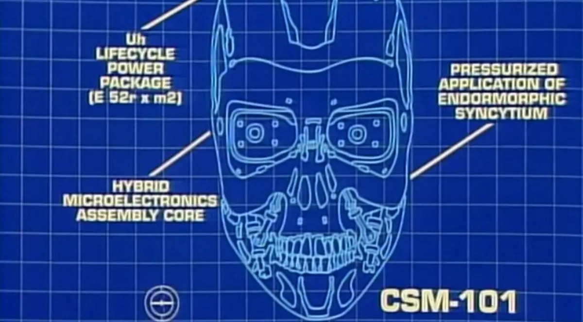 Harley-Davidson Fat Boy: Motorcycle Terminator თავად 28460_16