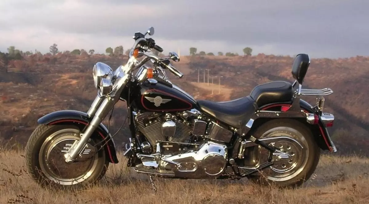 Harley-Davidson Fat Boy: Sepeda Motor Terminator itu sendiri 28460_23