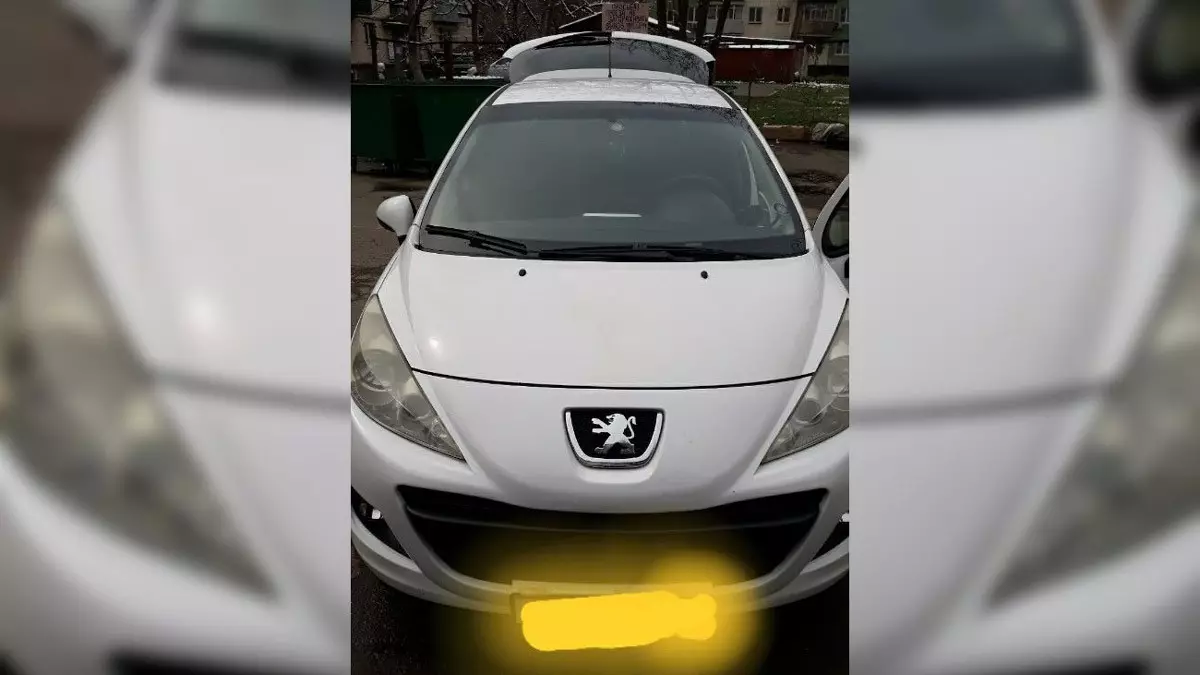 Струва ли си за закупуване на PEUGEOT 207 за 300 хиляди рубли 32269_16