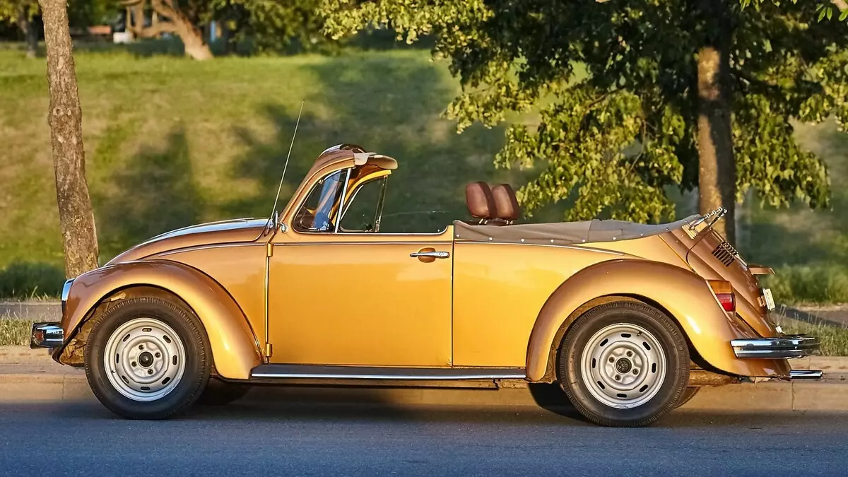 Entomologie aplicată: VW Käfer Cabrio 35388_2