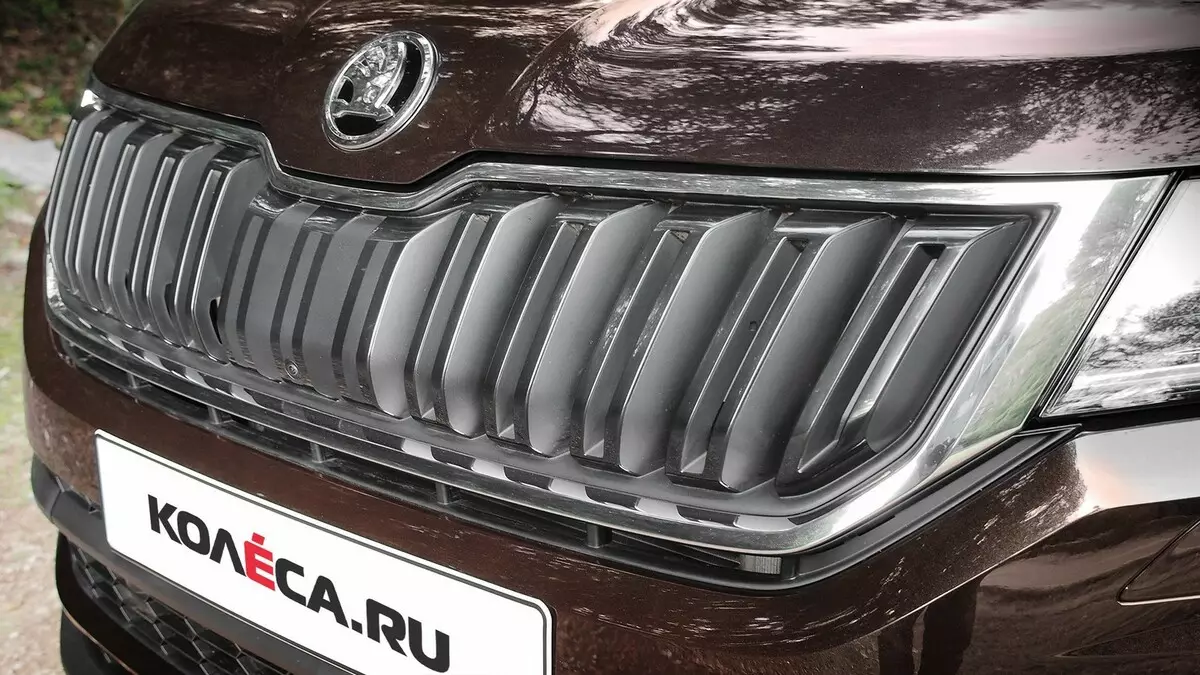 Home Bear: Premiere Test Drive Skoda Kodiaq 37247_2