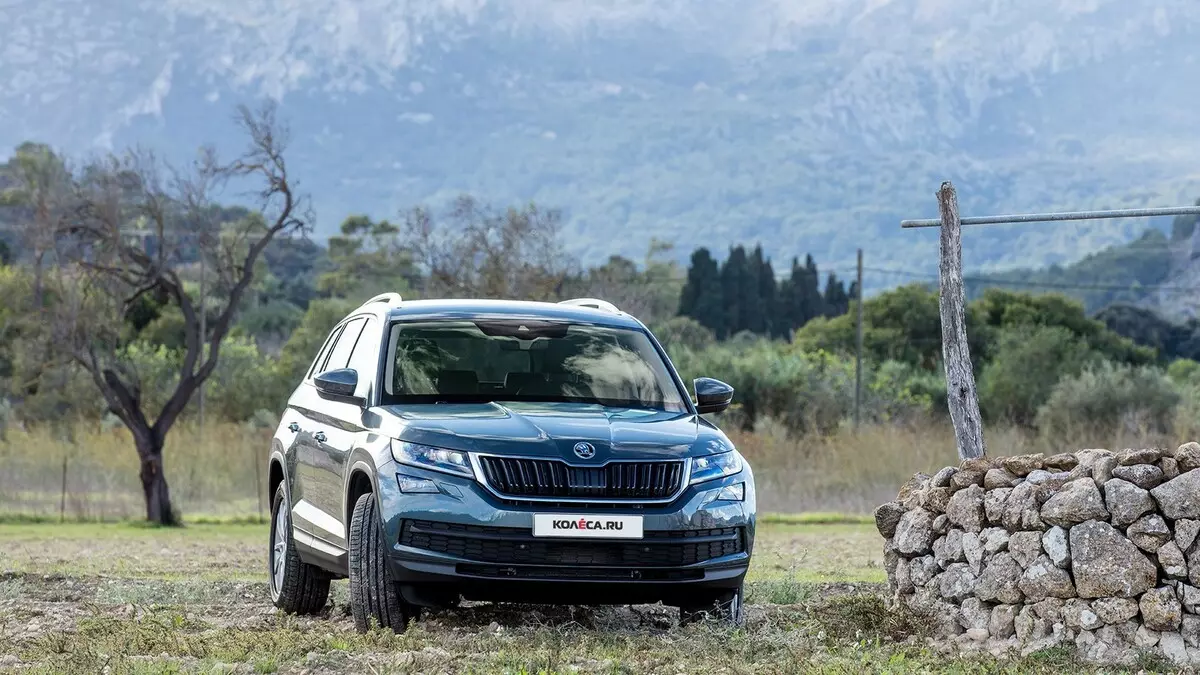 Хатні мядзведзь: прэм'ерны тэст-драйв Skoda Kodiaq 37247_51