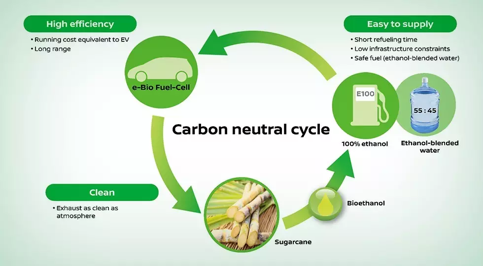 Ethanol imapezeka kuchokera ku nzimbe, zomwe zimachitidwa ku Asia ndi America