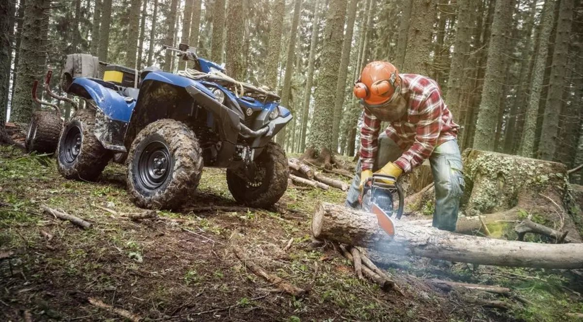 Hape bacha - 2016 Yamaha Grizzly 700