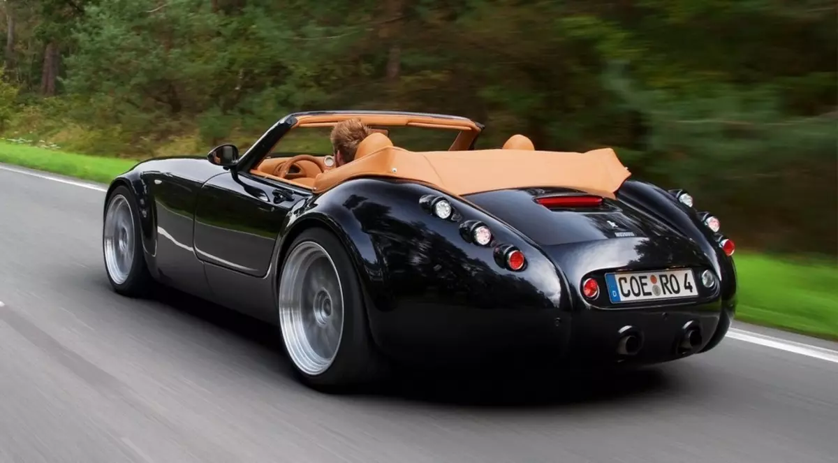 Supercars üksikasjalikult: Wiesmann, roomajate elust 931_18